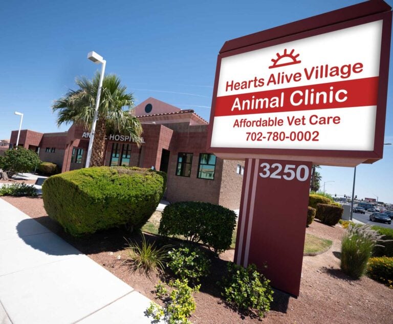 Decatur Full Service Clinic - Hearts Alive Village
